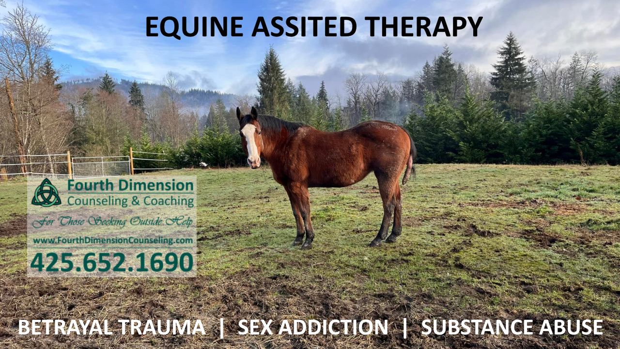 Equine Assisted Therapy at Fourth Dimension Healing Ranch