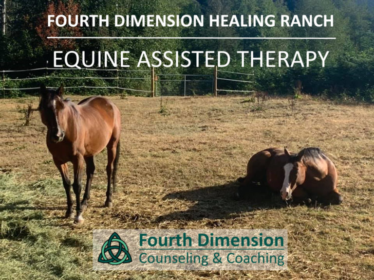 Equine Assisted Therapy at Fourth Dimension Healing Ranch