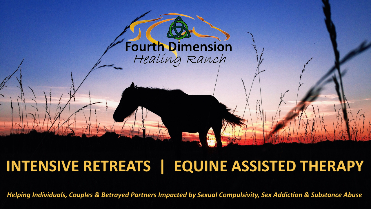 Equine Assisted Therapy at Fourth Dimension Healing Ranch