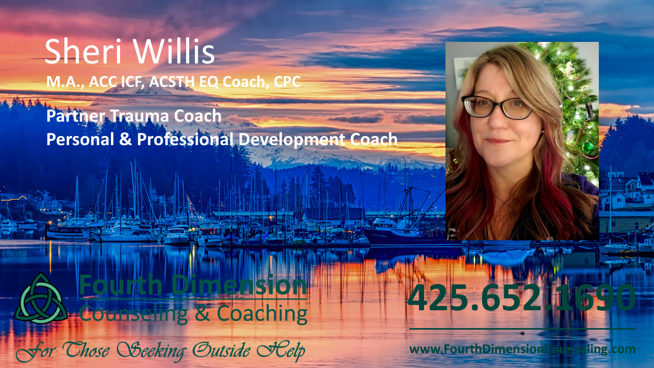 Meet Partner Trauma Coach Sheri Willis M.A.
